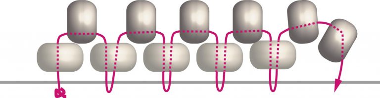 Stickerei mit Perlen, Stiche und Möglichkeiten • Perlengretl